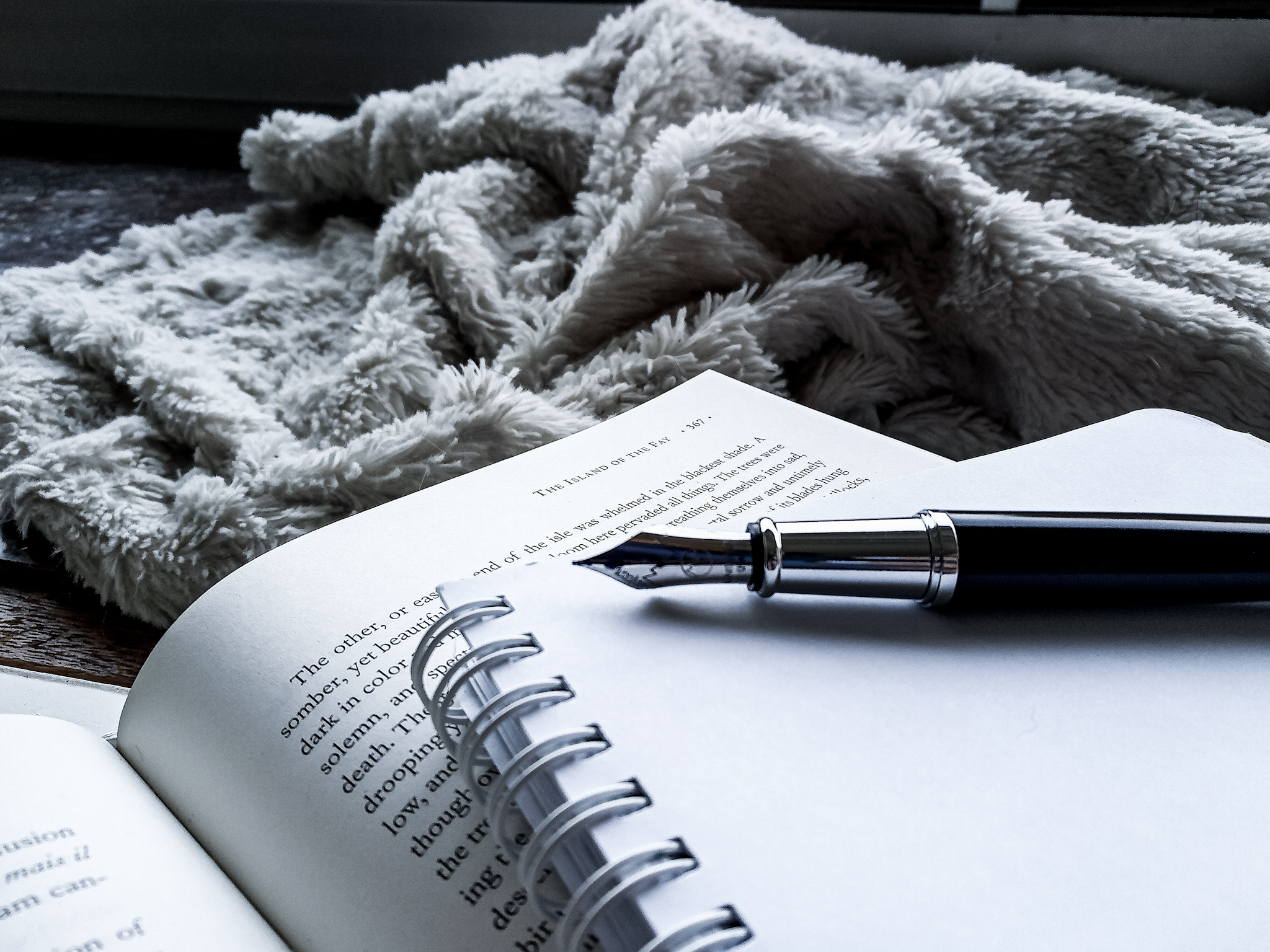 Jimmygate – Janet Cooke und der Rücktritt vom Pulitzerpreis ...