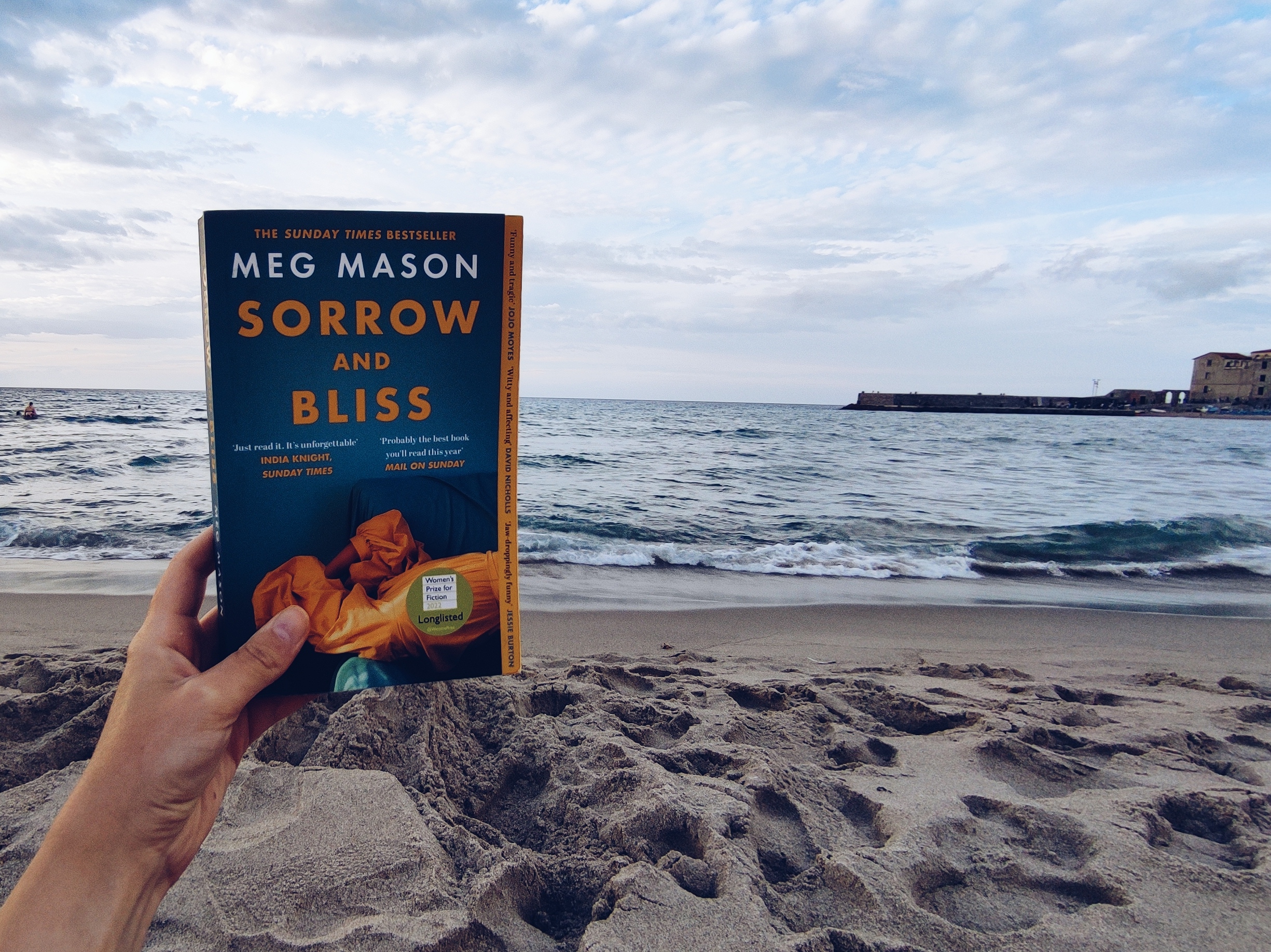 Meg Mason – Sorrow and Bliss – Letusreadsomebooks